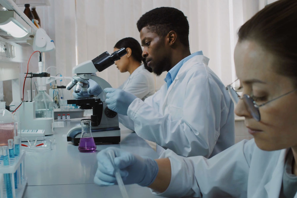 Global Knowledge Network → UNIDIR