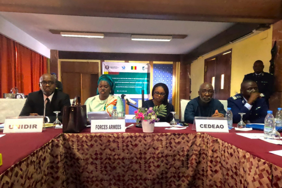 Marking 10 years of the Youth, Peace and Security Agenda with new ...